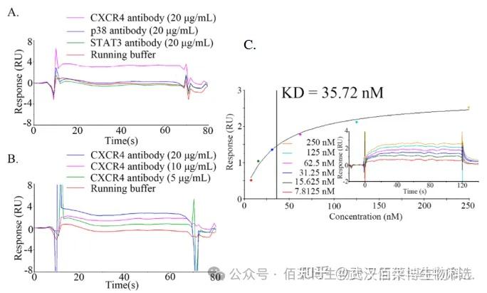 以靶找药：SPR配体垂钓技术在中草药活性成分发现中的应用 - 知乎