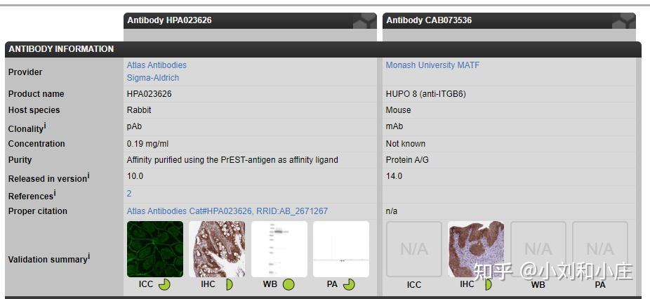 不做实验产数据：THE HUMAN PROTEIN ATLAS