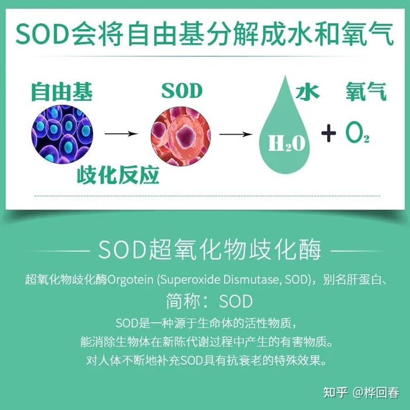 有了解超氧化物歧化酶（SOD）吗？ - 知乎