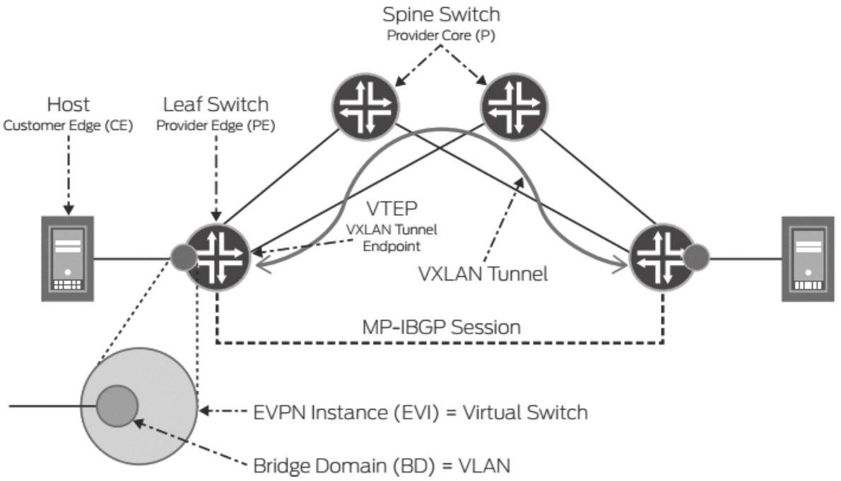 知乎盐选 | 1.14 Overlay 最新技术——EVPN