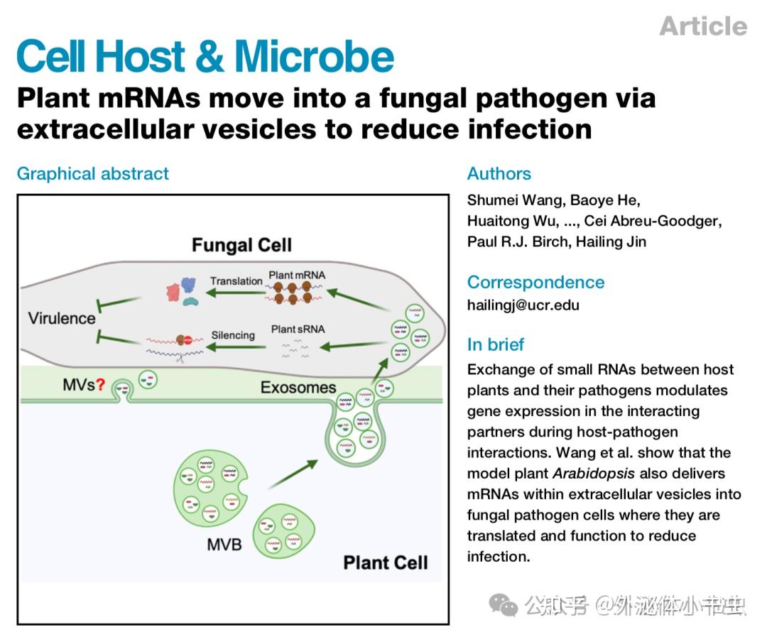文献分享【Cell Host Microbe】植物拟南芥通过外泌体递送mRNA抑制真菌感染 - 知乎