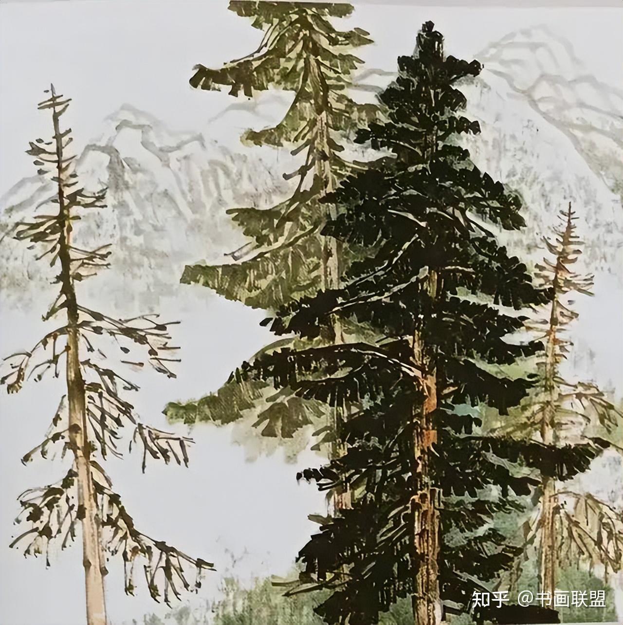 国画技法 松树的各种画法 - 知乎