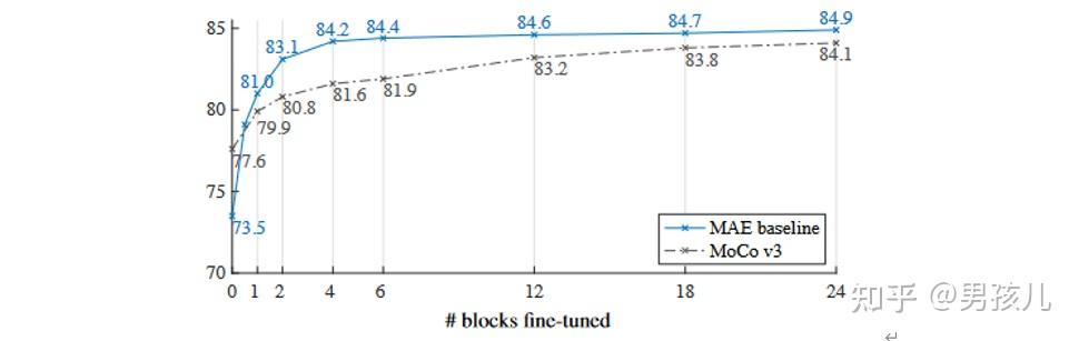 论文分享：Masked Autoencoders Are Scalable Vision Learners - 知乎