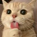 【PyTorch 奇淫技巧】Async Checkpoint Save - 知乎