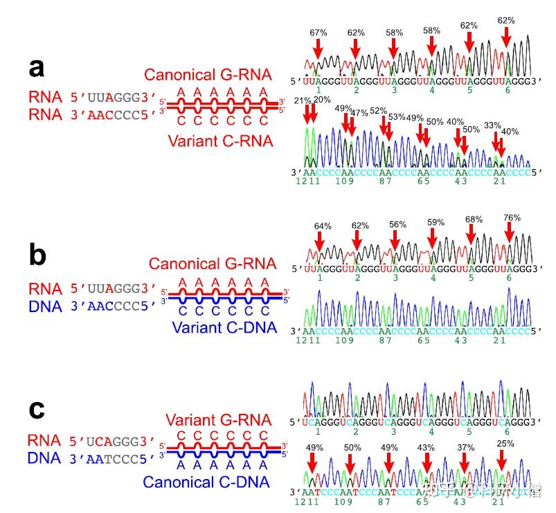 Nat Commun如何深入研究一个酶，你知道吗？ - 知乎