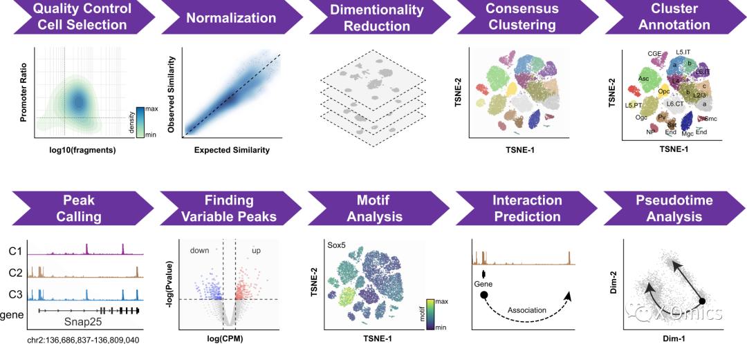 scATAC-seq分析流程及代码 - 知乎