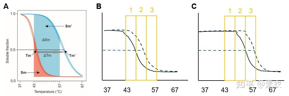 Proteome Integral Solubility Alteration(PISA)——一种简化的热蛋白分析方法 - 知乎