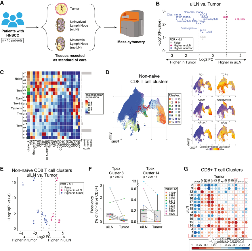 Cell | 发现并激活免疫检测点抑制剂靶向CD8+ T细胞 - 知乎