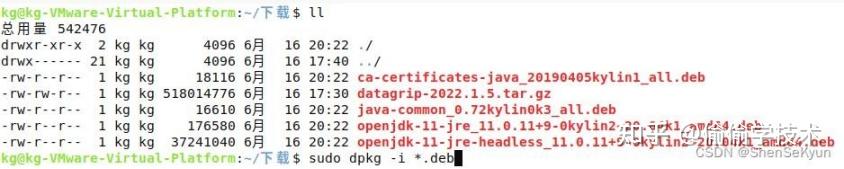 银河麒麟桌面操作系统 V10SP1 安装配置 DataGrip 数据库管理工具 - 知乎