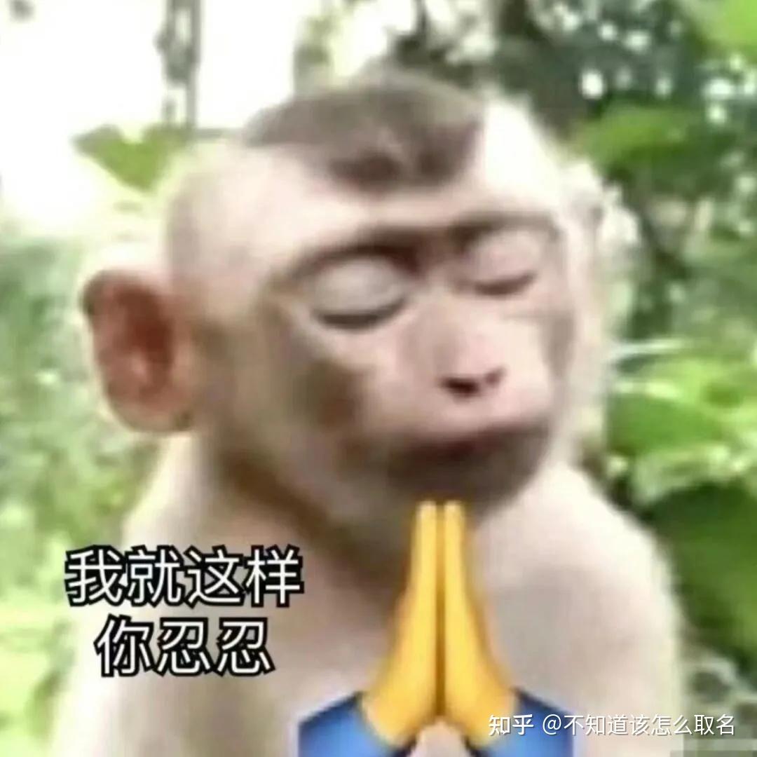 猴子表情包汇总 - 知乎