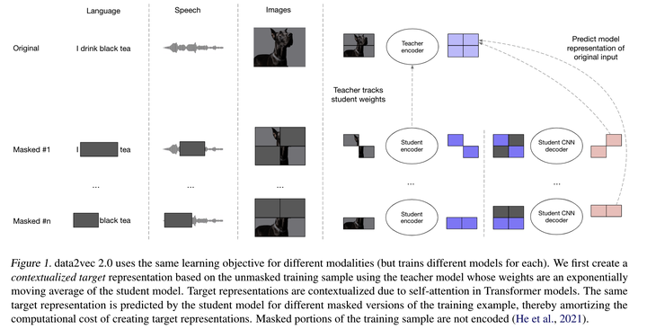 data2vec2.0论文阅读笔记 - 知乎