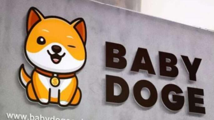 BabyDoge是什么？有何用途？未来如何？ - 知乎
