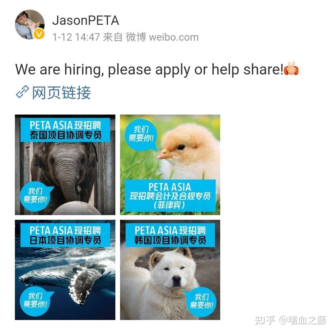 如何评价善爱动物组织PETA呼吁不要消灭老鼠？ - 知乎