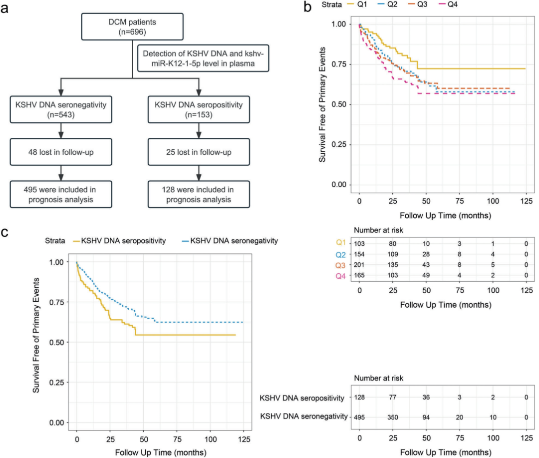 【派森诺项目文章】IF39.3 ！RIP-seq科研利器-为扩张型心肌病等相关研究“加油助威”！ - 知乎