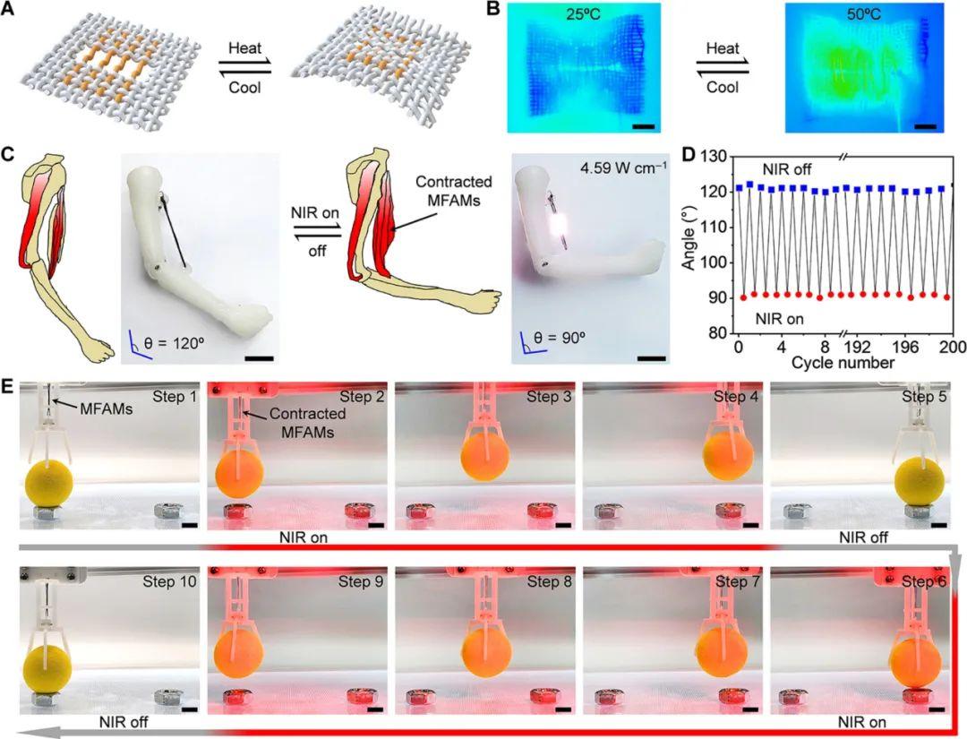Science Advances | MXene复合纤维人工肌肉 - 知乎