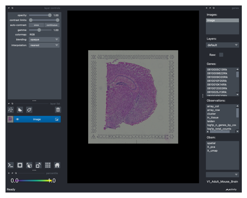 squidpy 教程 3：使用 Napari 进行交互式可视化 - 知乎