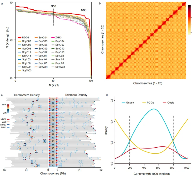 诺禾致源NG合作文章｜高质量大豆基因组及图形泛基因组揭示SV在育种改良中的功能调控机制 - 知乎