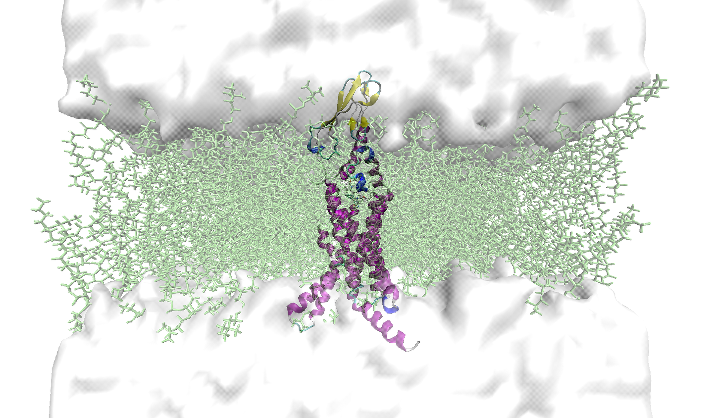 【GROMACS进阶】膜蛋白体系MD模拟教程 - 知乎