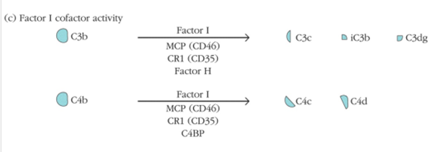 免疫学整理--细胞因子&补体系统 - 知乎