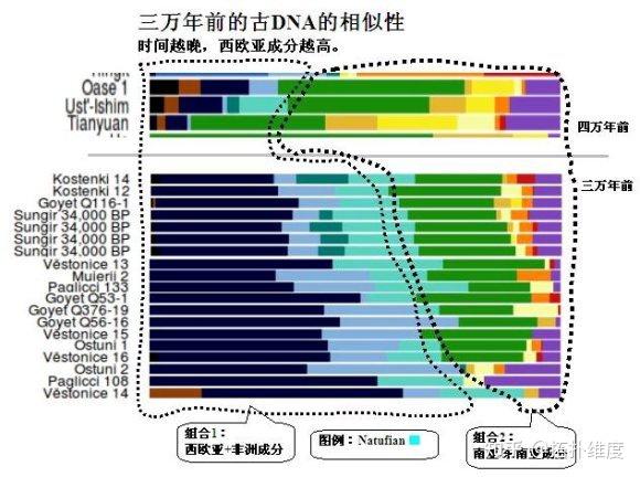 最近发现Y染色体K2祖型7人，证实NO-M214源自中国东部 - 知乎