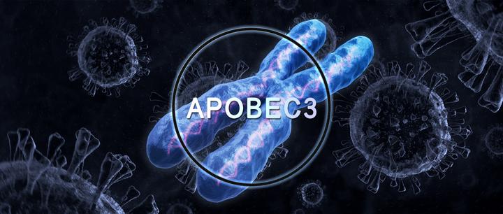 【Nature】癌症机制新突破：APOBEC3与内源性癌症突变 - 知乎