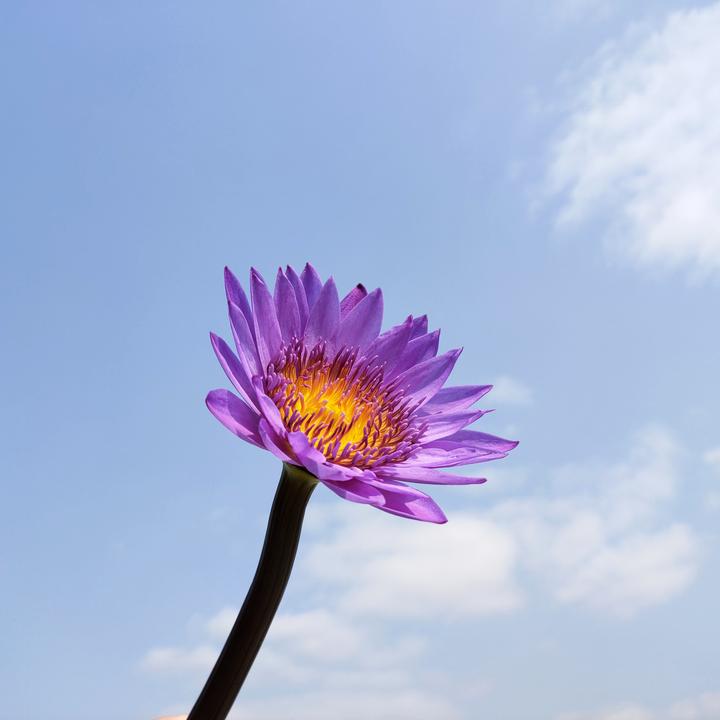 就这样互不打扰，两不相欠 知乎