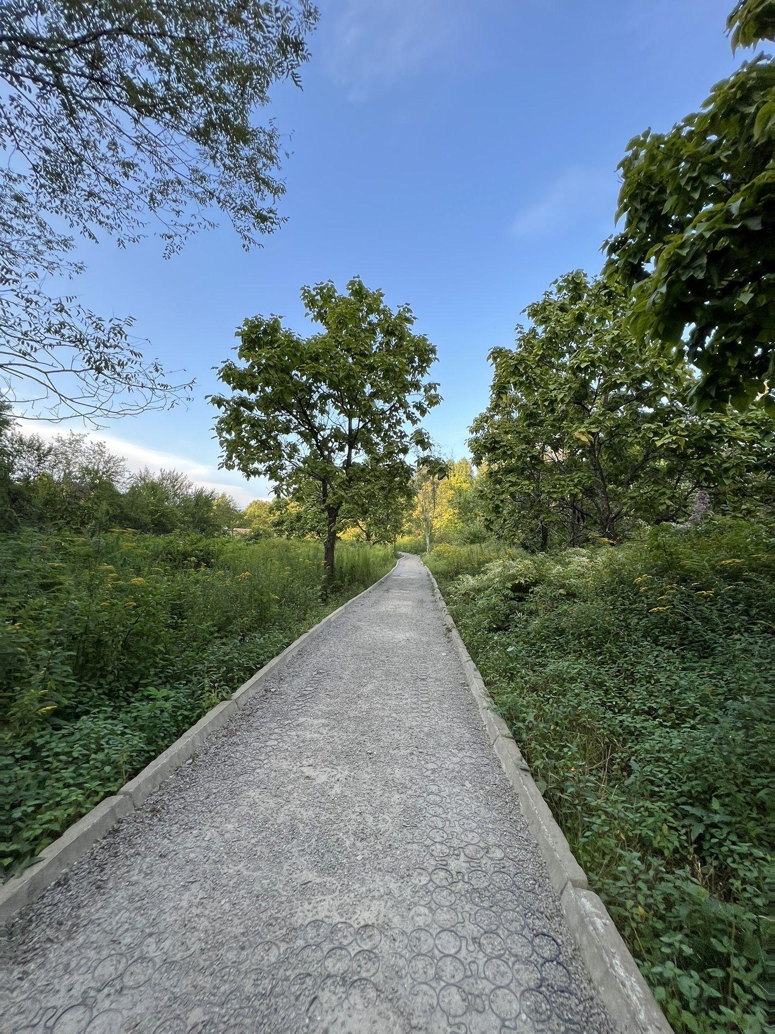 长点步道（Long Point Trail） - 知乎