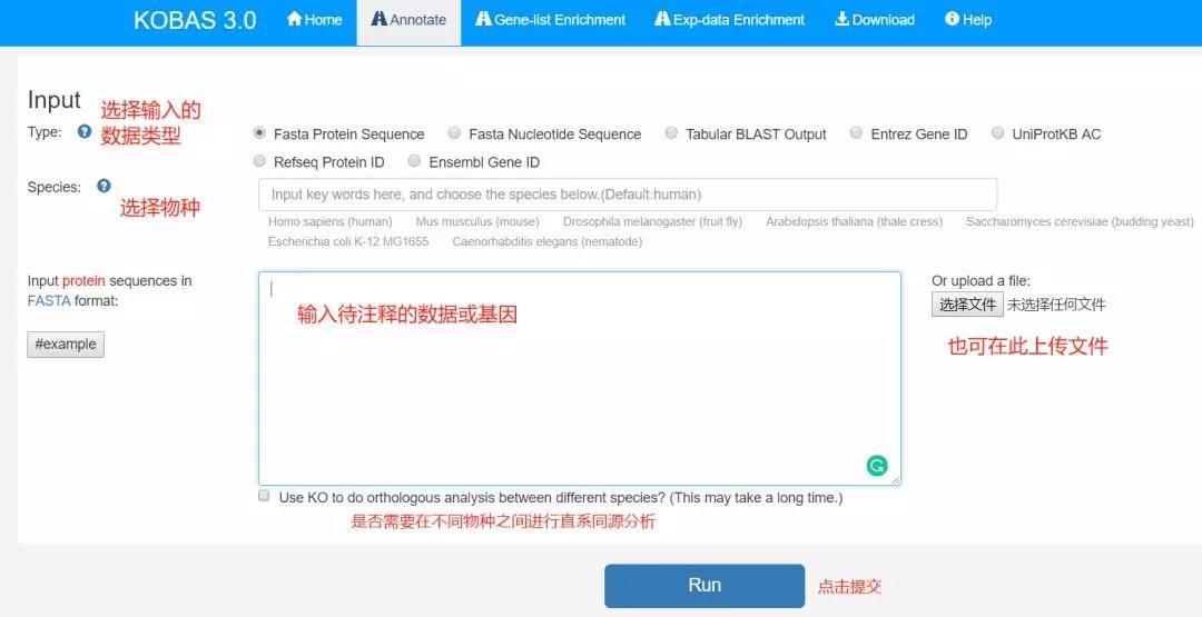 通路富集工具——KOBAS 3.0 - 知乎