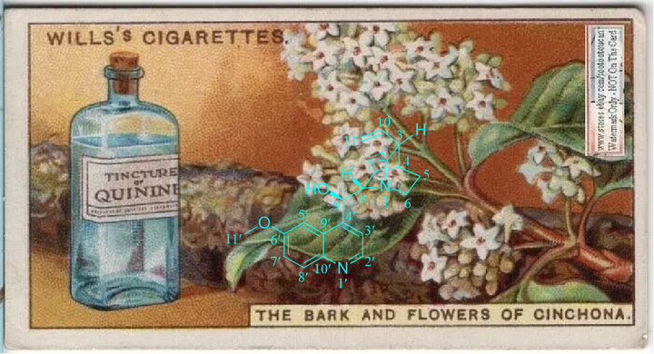 神奇的药物-奎宁（quinine）生物碱 - 知乎