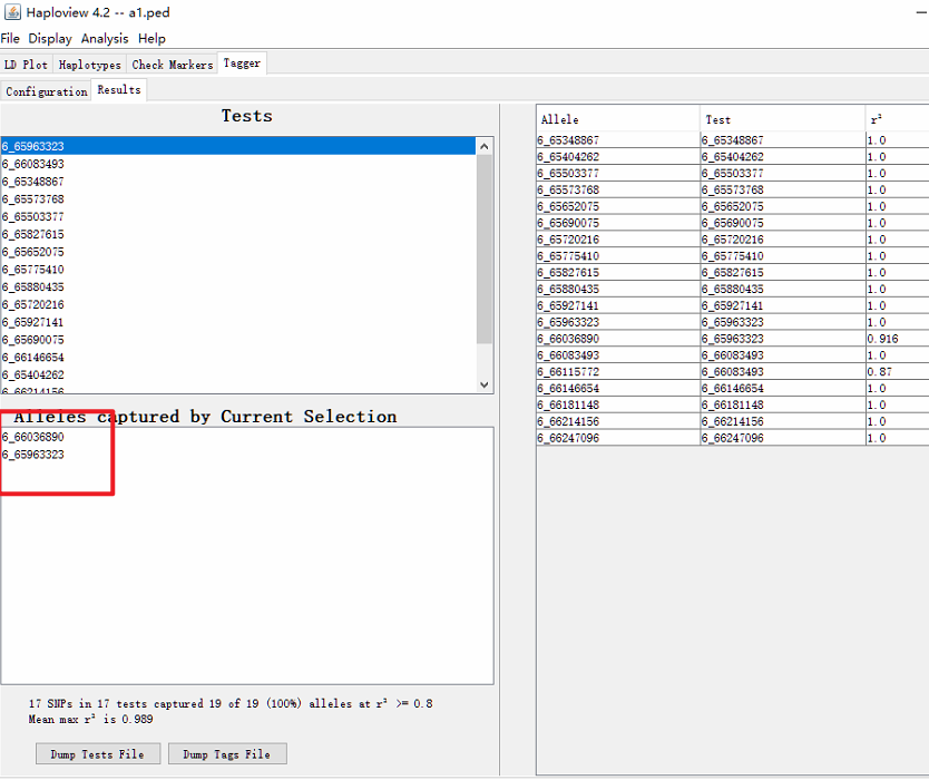第三篇：Haploview做单倍型教程3--结果解读 - 知乎