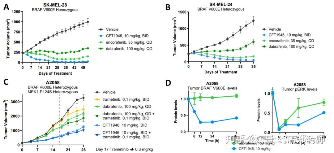 靶向SMARCA2 FIC 降解剂CFT1946首次公布 I 期临床结果：BRAF V600X实体瘤新疗法持续研究中 - 知乎