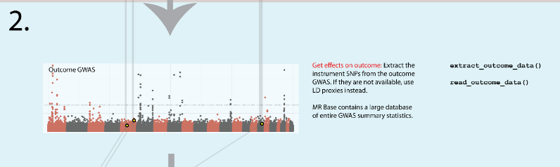 R语言实操：使用TwoSampleMR包进行孟德尔随机化分析 - 知乎
