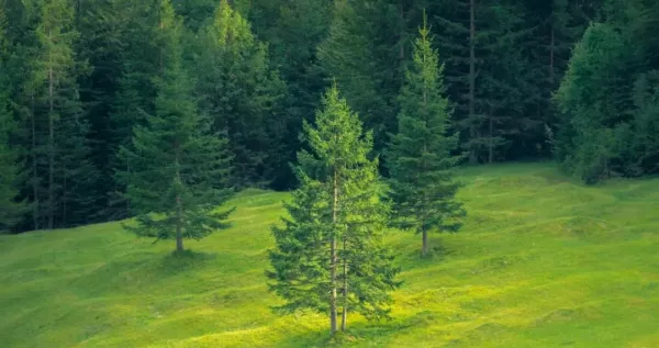 Spring RSocket：基于服务注册发现的 RSocket 负载均衡 - 知乎