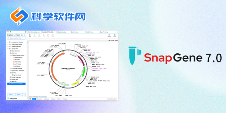 SnapGene 7.0 最新发布 - 知乎