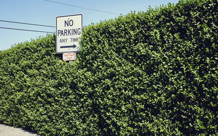 英语单词运用：Any Time 和 Anytime有什么区别，如何正确使用？ - 知乎