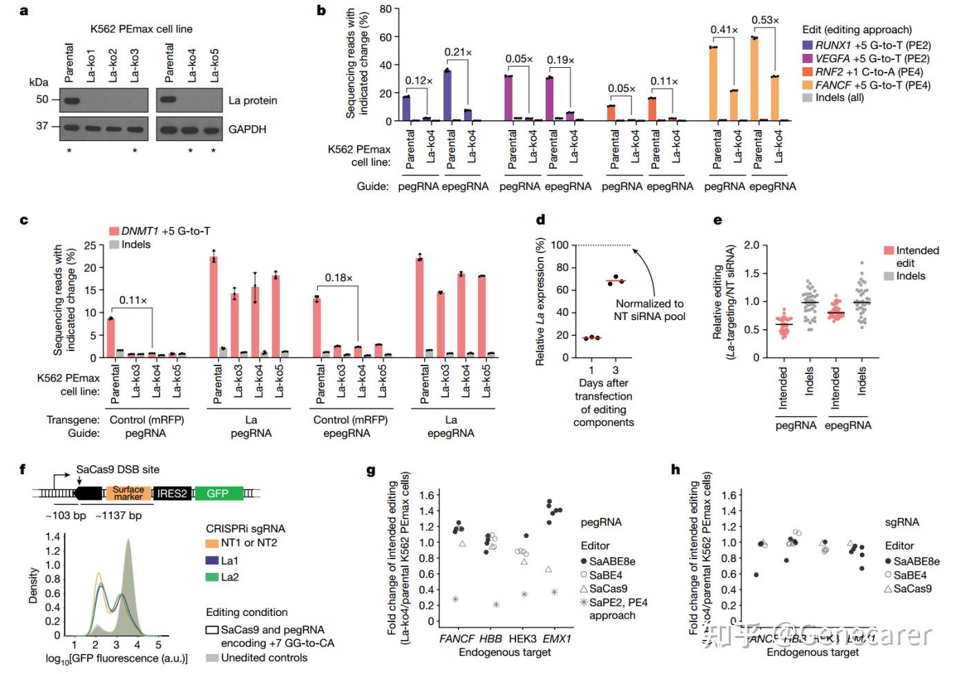 PE7(Primer editor 7)显著提高先导编辑效率！！ - 知乎