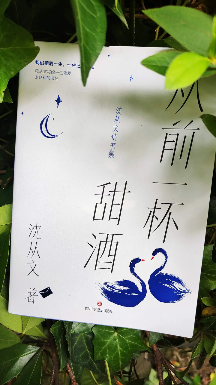 《从前一杯甜酒》，喝了真的上头 知乎