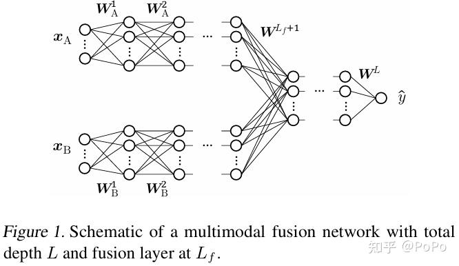 读论文 多模态系列 Unimodal Bias 理论分析 - 知乎