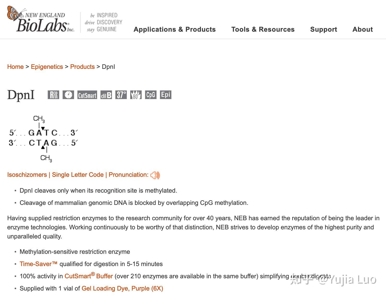 实验方法：DNA定点突变技术（Q5 Site-directed Mutagenesis） - 知乎