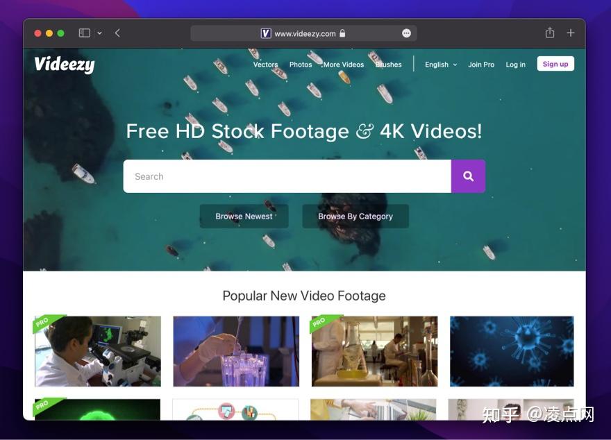 Videezy - 提供高质量设计素材、4K视频素材下载的网站，大部分都可以免费商用全球最大的视频素材网站之一，提供高达4k分辨率的视频素材 ...