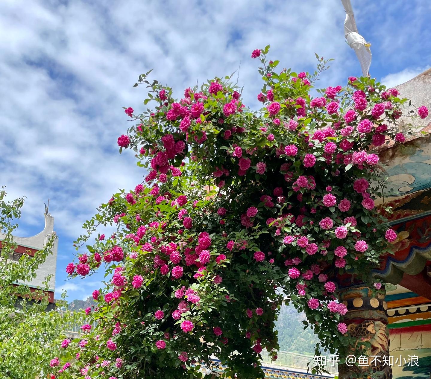 MBTI CP宇宙之三：你的名字——寰宇组 - 知乎