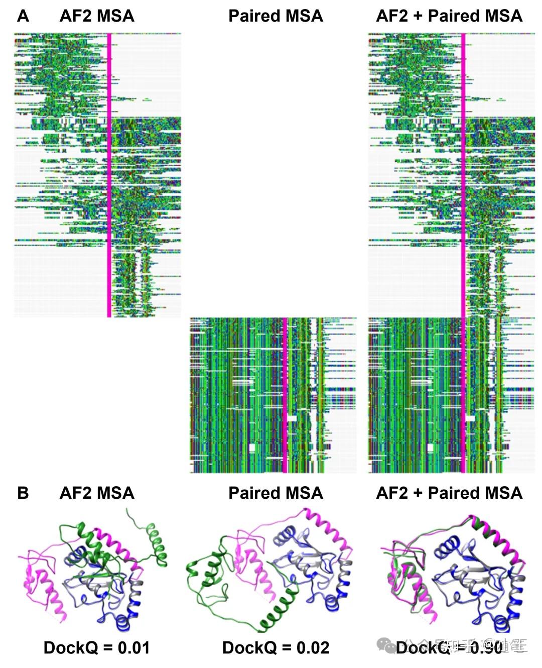 AlphaFold-multimer：势在必行的模型拓展 - 知乎