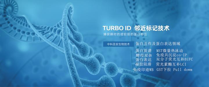 蛋白互作之TurboID邻近标记技术 - 知乎