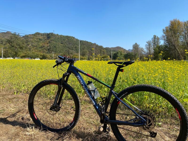 迪卡侬XC50和喜德盛侠客800Pro，哪个性价比高？