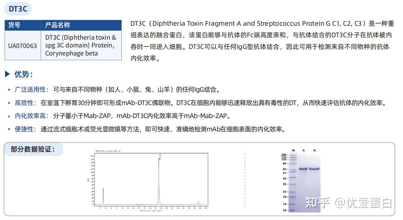 如何高效检测ADC抗体内吞效率？ - 知乎