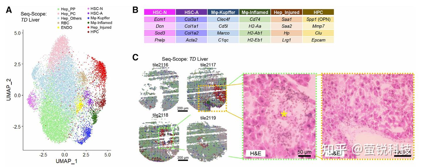 Seq-Scope：高分辨率空间转录组技术 - 知乎