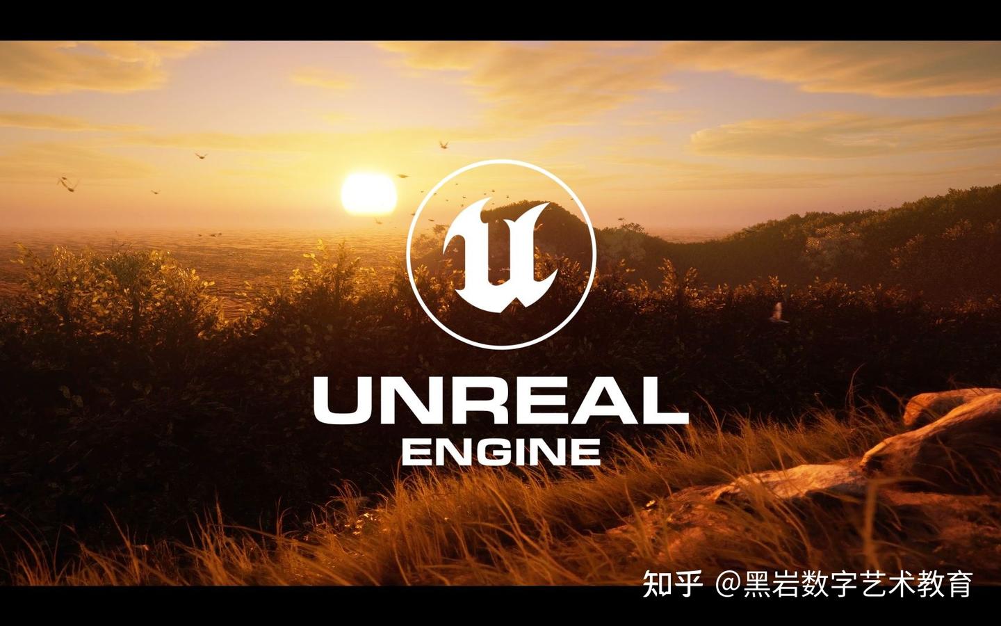 UE4和UE5区别在哪？UE地编未来发展前景如何？ - 知乎