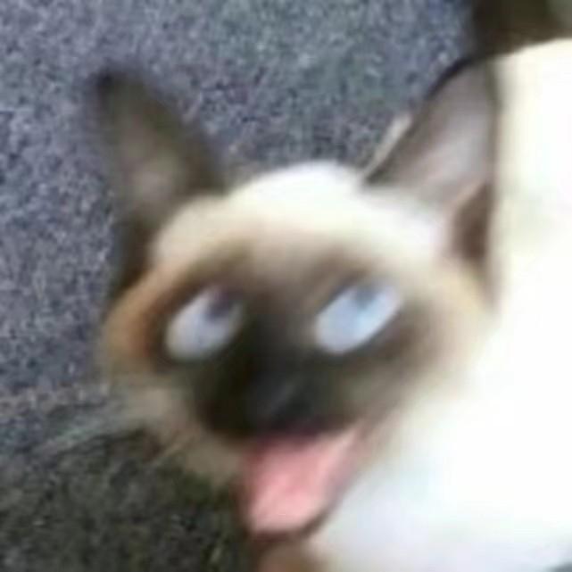 [WTF Abaqus]批量复制分析步的插件 - 知乎