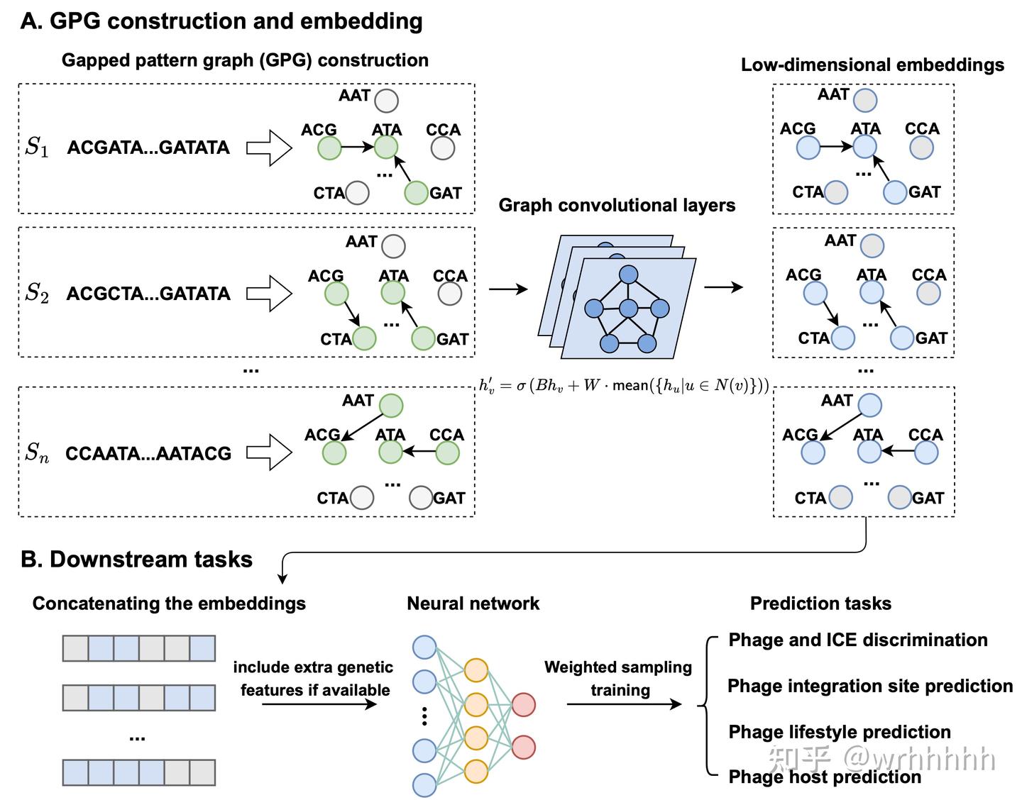 如何把DNA序列编码成深度学习的向量化输入——GP-GCN框架教程 - 知乎