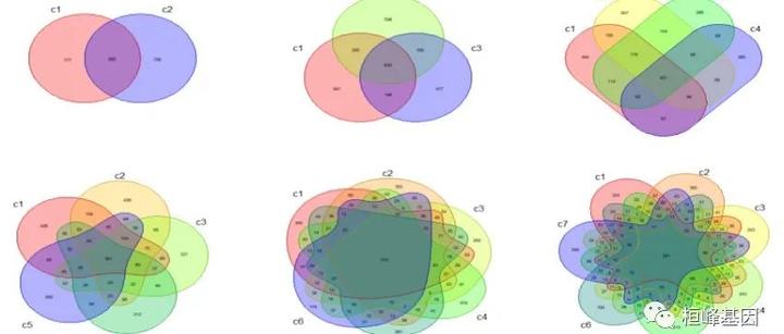 FigDraw 9. SCI 文章绘图之韦恩图 (Vennplot) - 知乎
